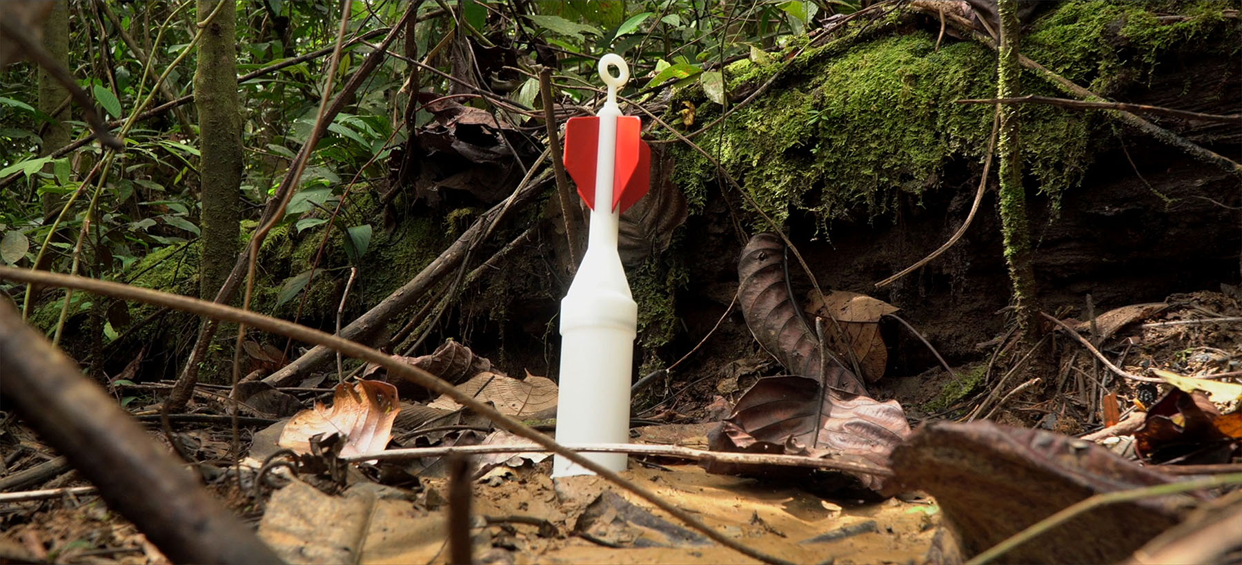 DARTs and Drones: The Future of Onshore Seismic - Wireless Seismic